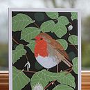 Robin Card By Bird | notonthehighstreet.com