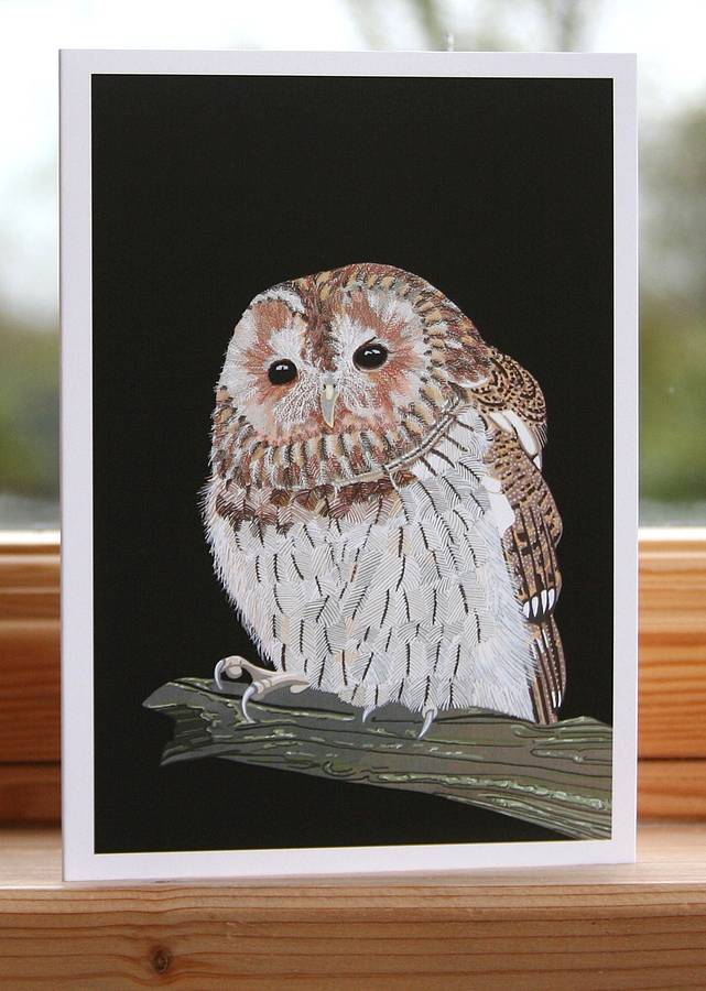 tawny owl card by bird | notonthehighstreet.com