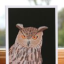 tawny owl card by bird | notonthehighstreet.com