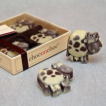 Chocolate Cows By Choc On Choc | notonthehighstreet.com