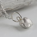 Sterling Silver Clam Shell Necklace By Caroline Brook ...