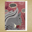 Squirrel Greetings Card By Rocket 68 | notonthehighstreet.com