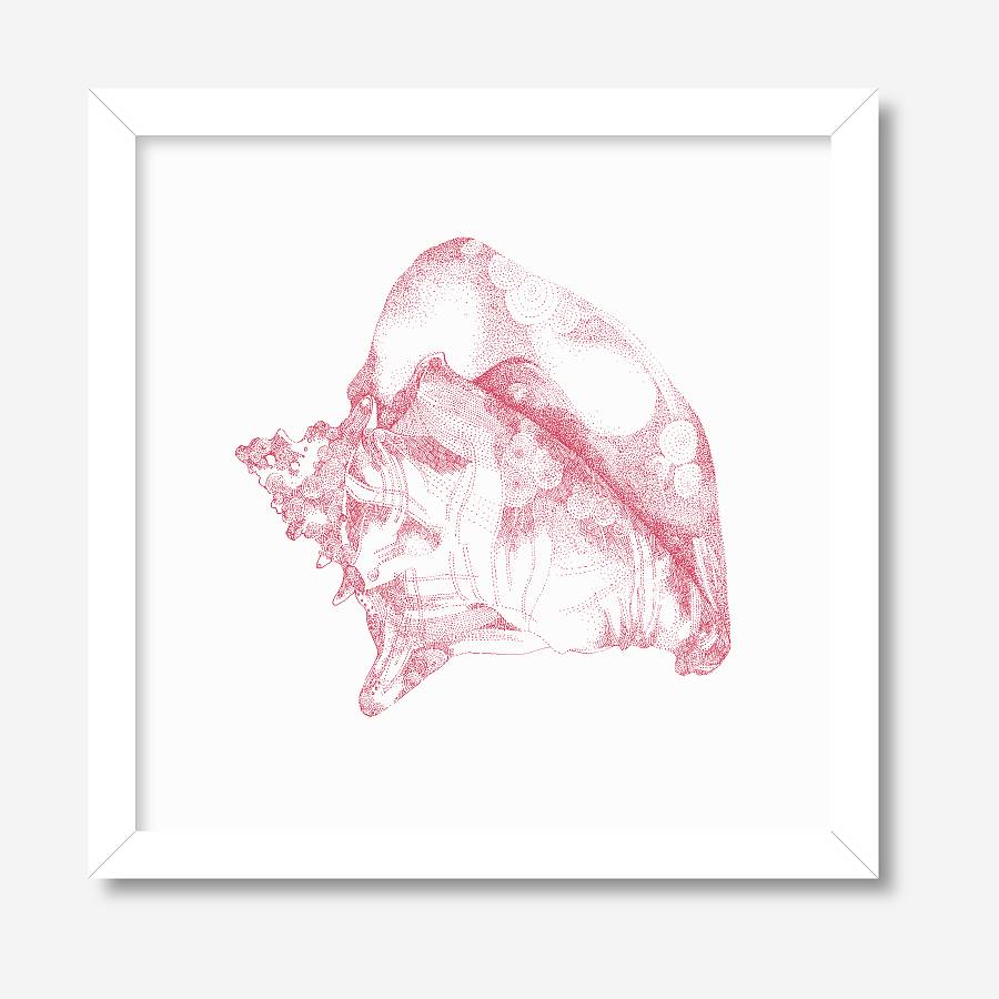 pink sea shell print by rooftop illustrations | notonthehighstreet.com