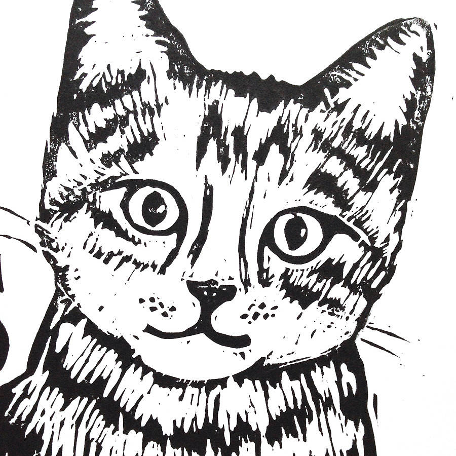 Silly Cat Linocut If I Fits, I Sits By Woah There Pickle ...