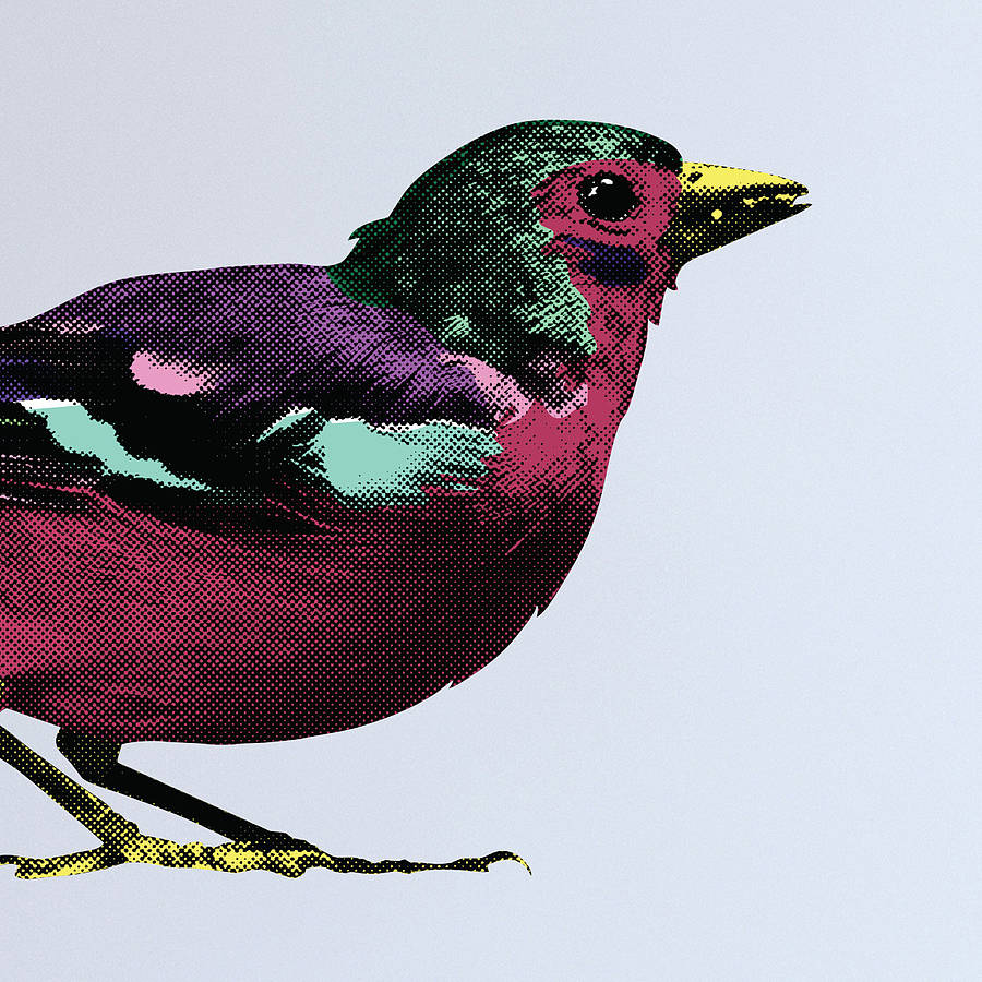 Pop Art Sparrows Wall Stickers By The Binary Box | notonthehighstreet.com