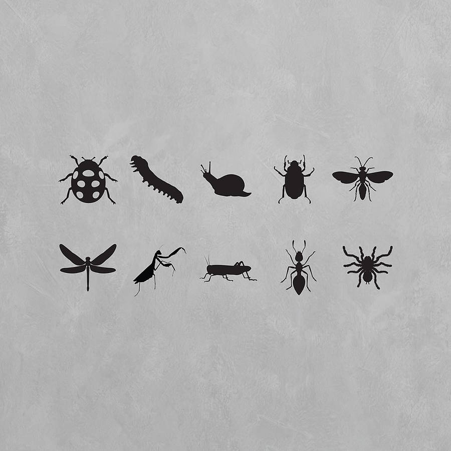 Bug Wall Decals