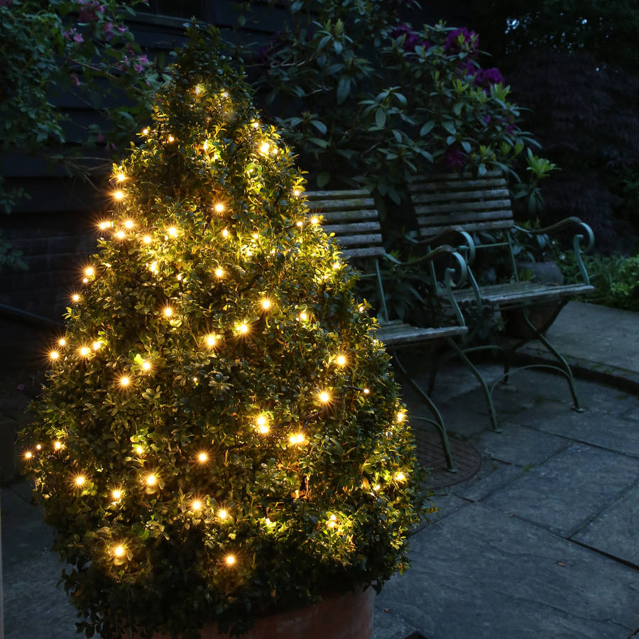 outdoor battery pin lights by red lilly | notonthehighstreet.com