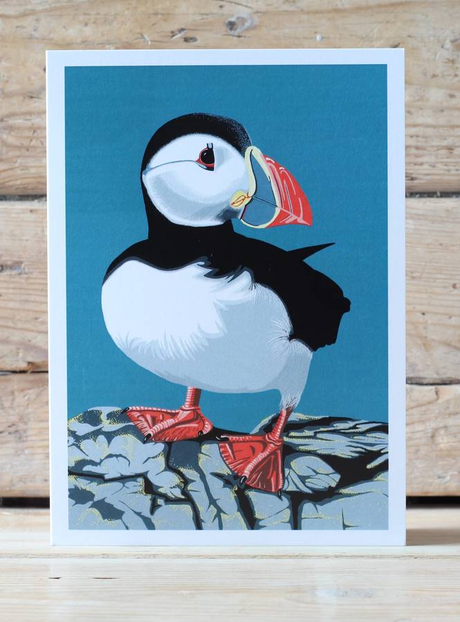 puffin card by bird | notonthehighstreet.com