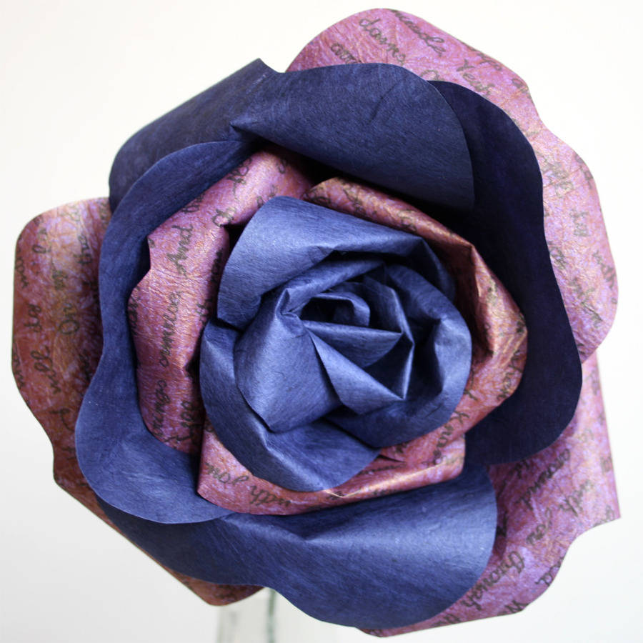 enduring love storyteller paper rose by paper posies ...