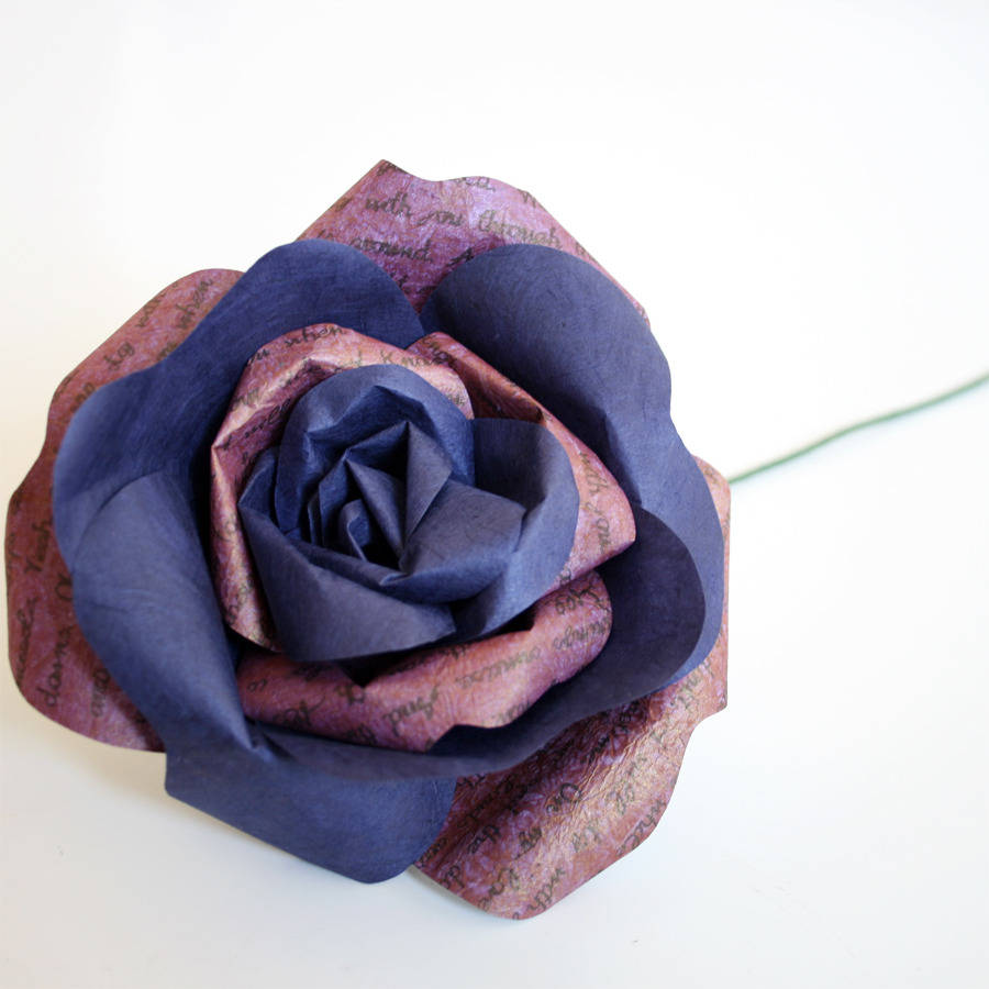 enduring love storyteller paper rose by paper posies ...