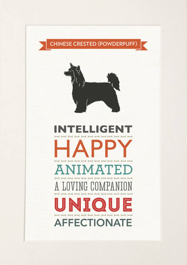 Chinese Sign Dog Traits